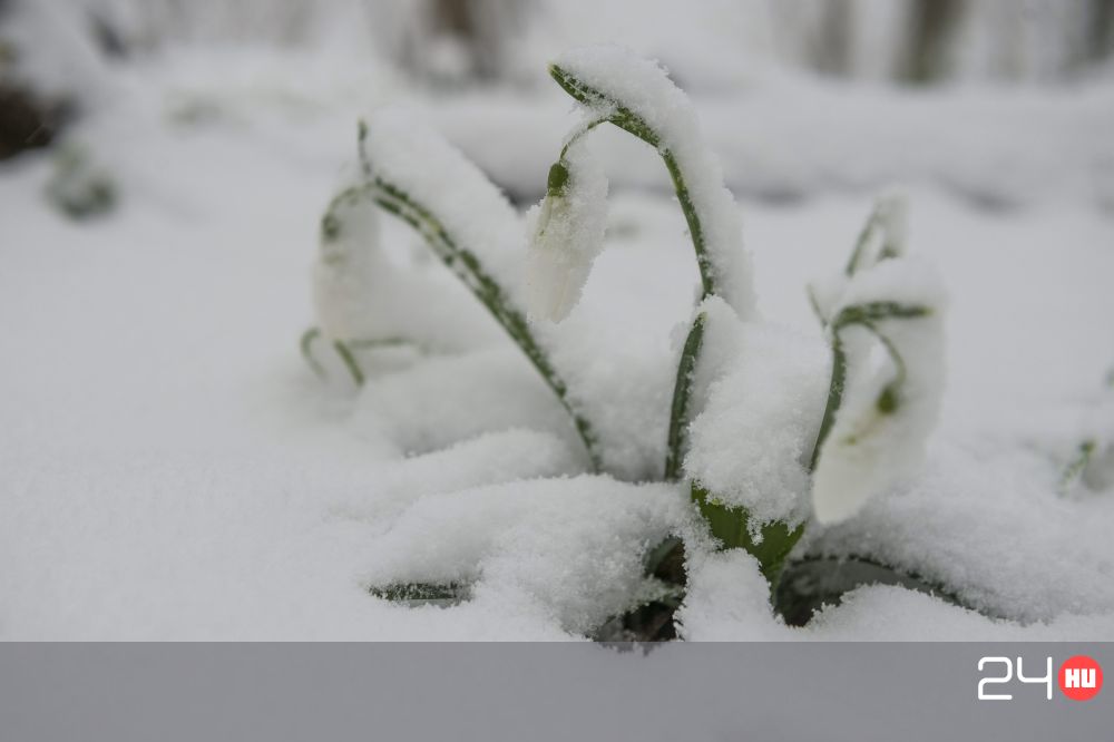 Behavazódott a Mecsek, a Bakony és a Mátra | 24.hu