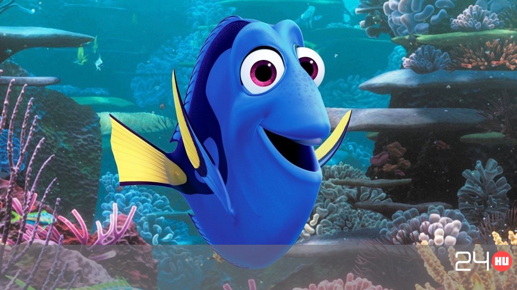 Szenilla még mindig nincs képben | 24.hu