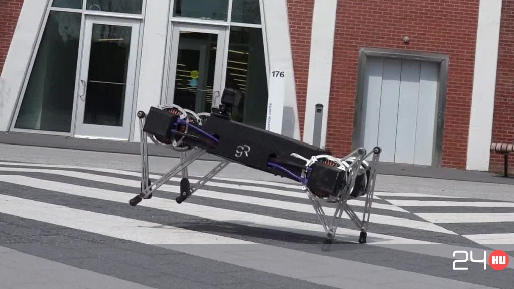 Kerítést mászik, lépcsőzik a kutya-robot | 24.hu