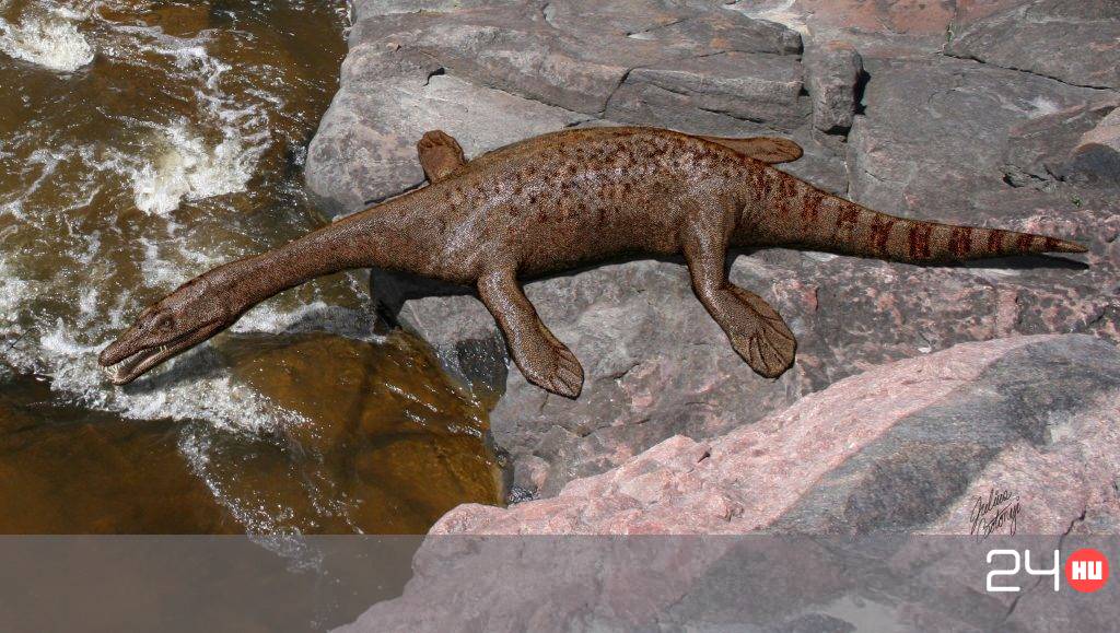 Ötméteres csúcsragadozó bukkant fel a villányi borvidéken | 24.hu
