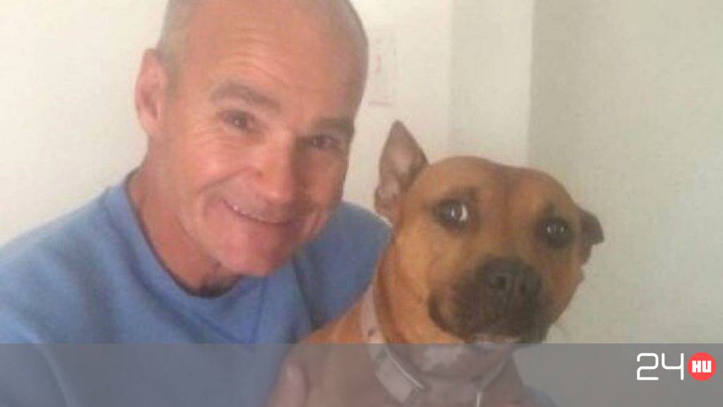 Halálra gázolta a vonat, amikor a sínekre szaladt kutyáját próbálta ...