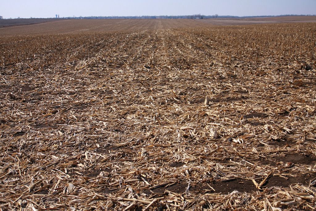 A talaj is el tud fogyni. Dobjuk el az ekét? | 24.hu