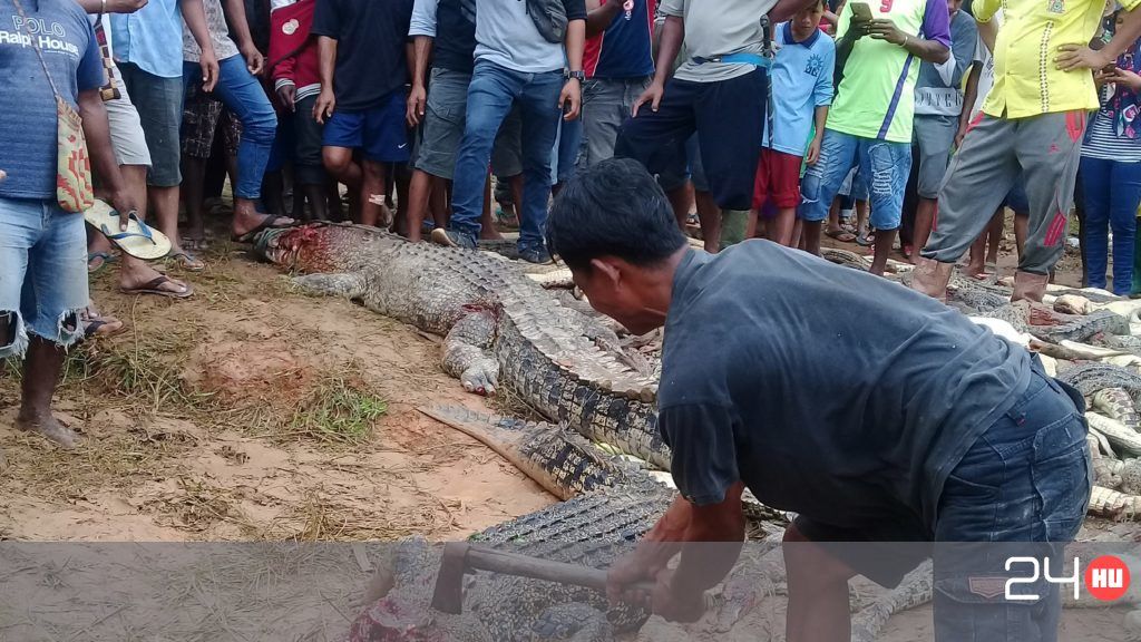 Megöltek háromszáz védett krokodilt, mert az egyik széttépett egy ...
