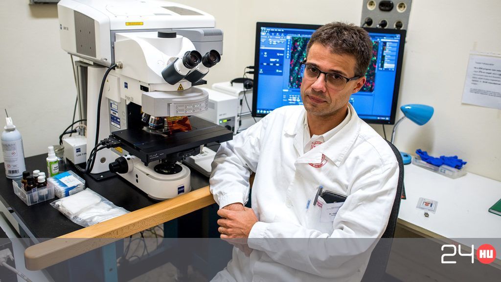 Egy lépéssel közelebb kerültünk a stresszmentes élethez | 24.hu