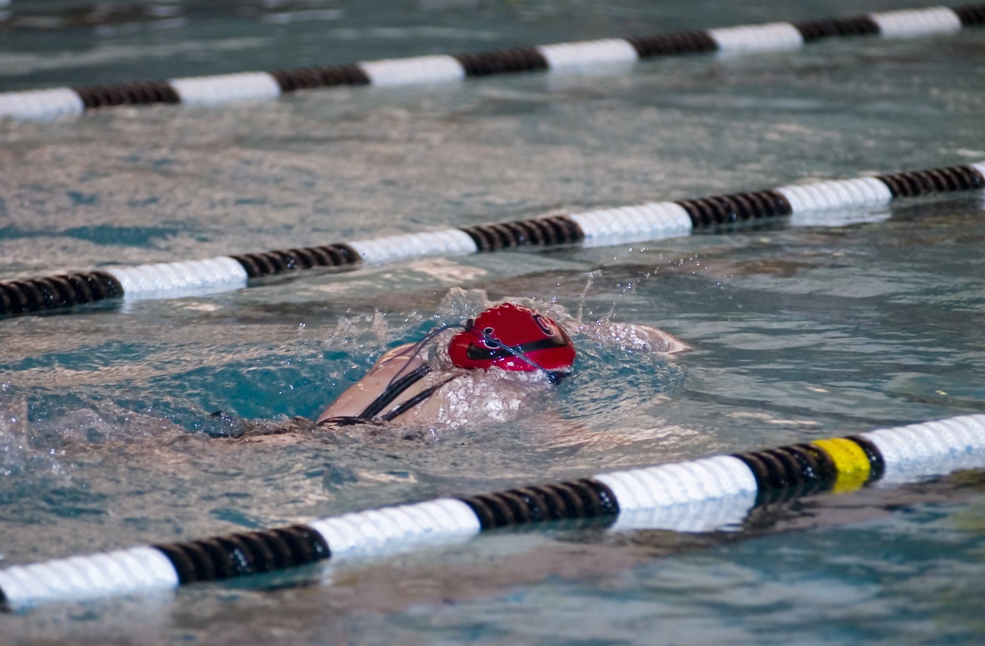 Gyarmati Andrea: Anyám és Széchy Tamás halálos összeveszésének igaz ...