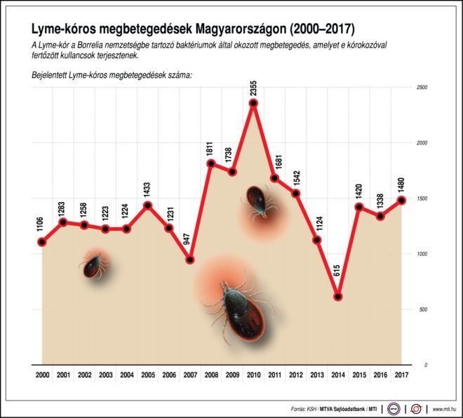 Forradalmi magyar módszer segíthet időben felismerni a Lyme-kórt | 24.hu