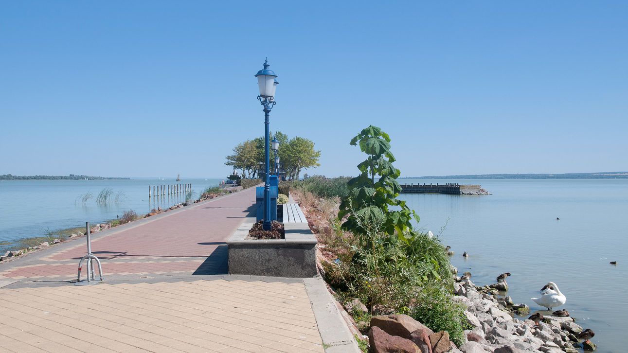 Itt a magyarázat a Balaton extrém algásodására | 24.hu