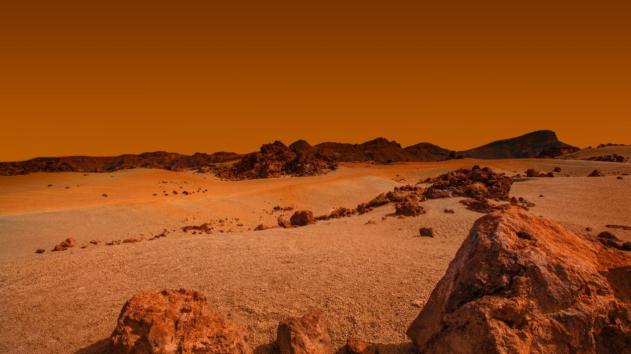 Meglepő, mik lehetnek a Mars első telepesei | 24.hu