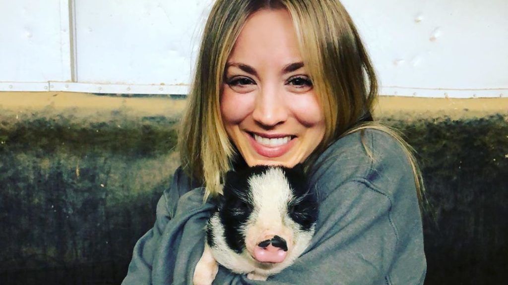 Kaley Cuoco beszerzett otthonra két kismalacot | 24.hu