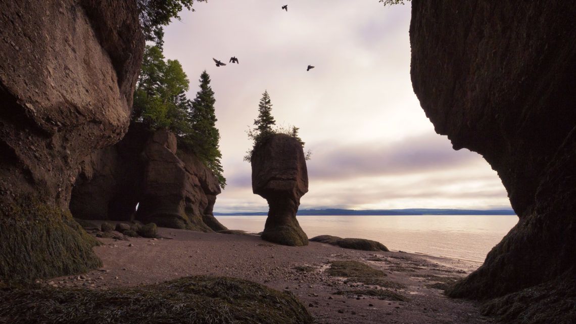 Több száz millió éve nem volt ekkora az árapály | 24.hu