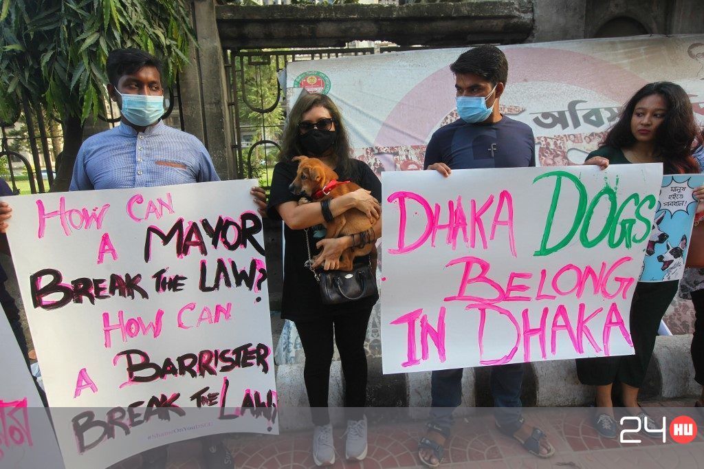 A tiltakozások ellenére kitelepítenek 30 ezer kóbor kutyát Banglades ...