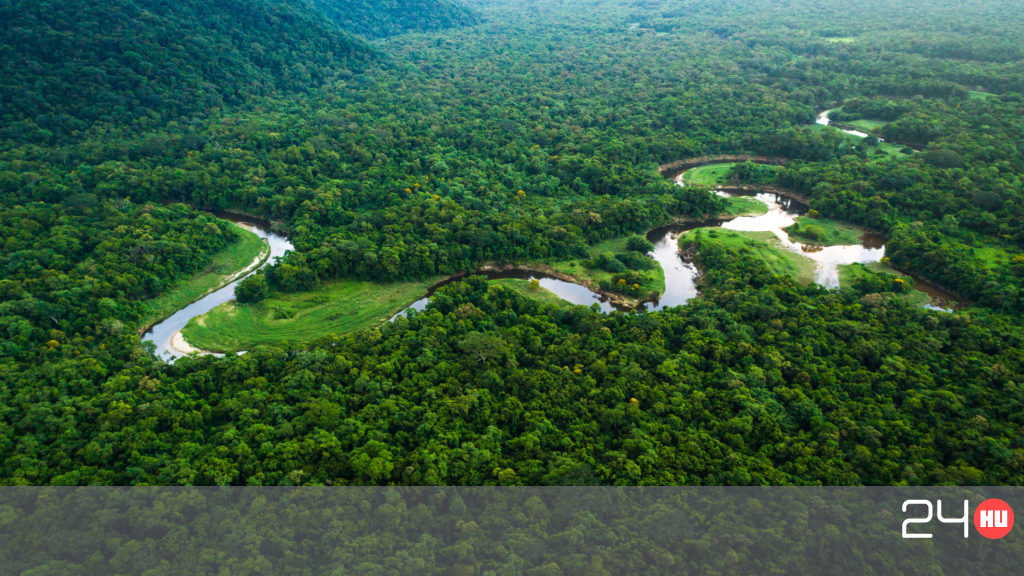 Szavannává alakulhat Amazónia egy része | 24.hu