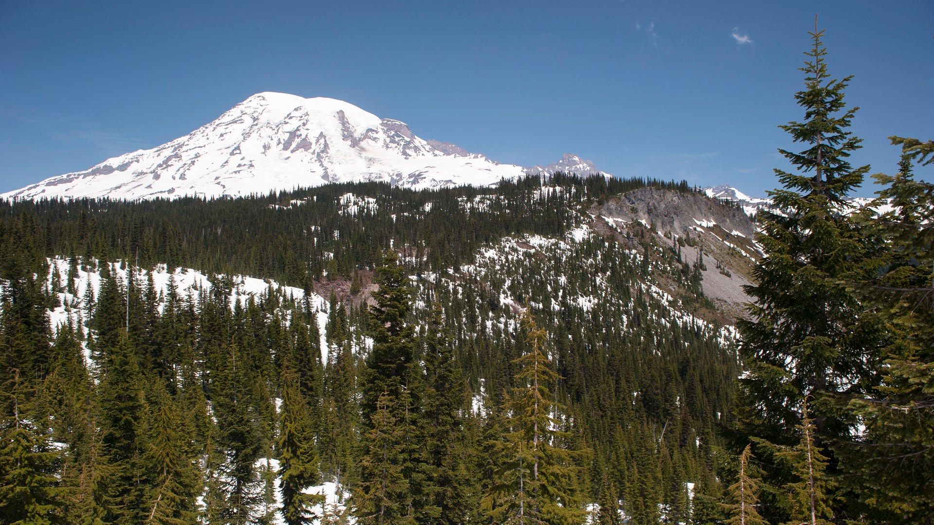 Csodaszámba megy a 45 percen át újraélesztett túrázó felépülése | 24.hu
