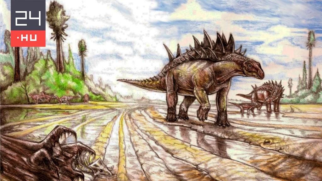 Magyar dinók hozták lázba a világot | 24.hu