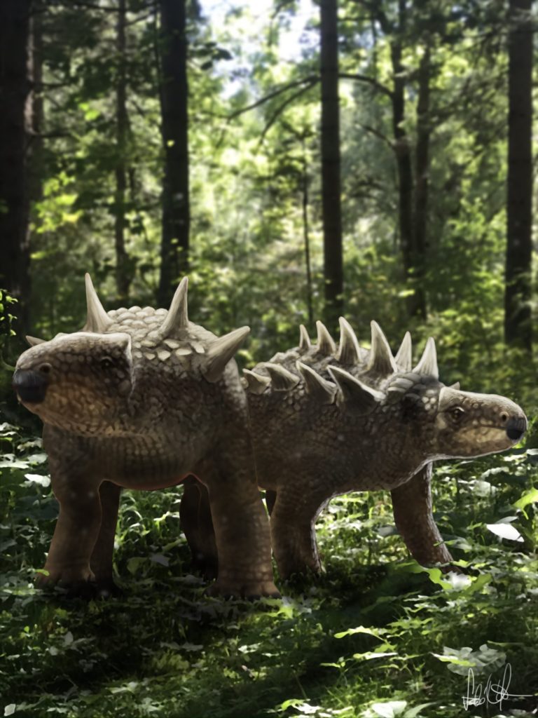 Magyar dinók hozták lázba a világot | 24.hu