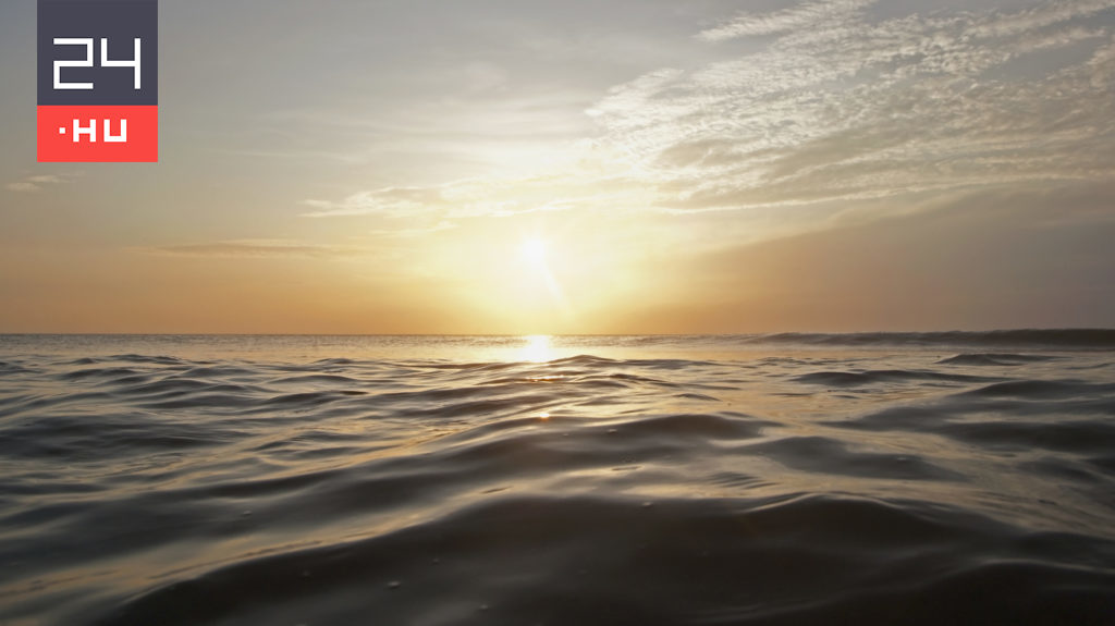 Egyre több a halálzóna a tengerekben | 24.hu