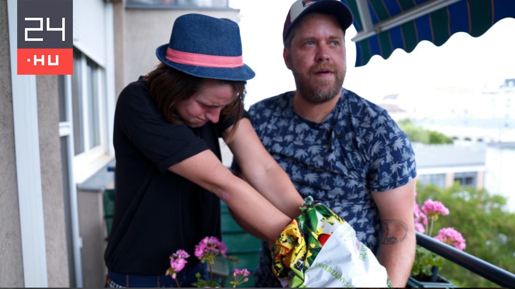 Kipróbáltuk a citromos muskátliból készült limonádét | 24.hu