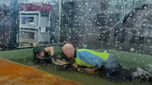 Egy látogató sietett a gondozó segítségére, akit elkapott egy aligátor ...