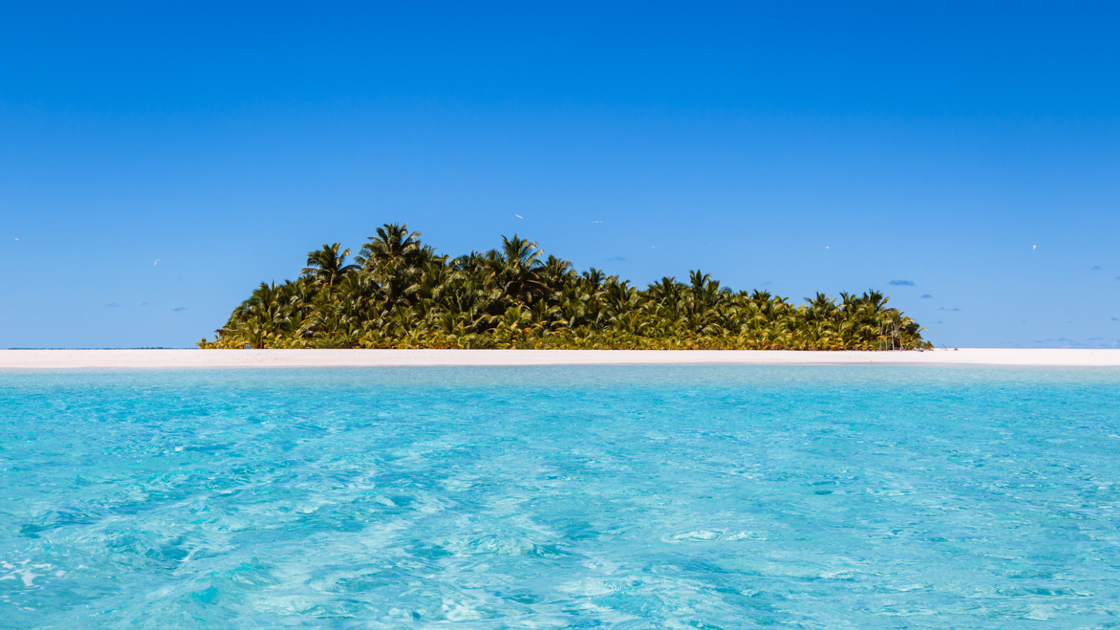 Lezuhant UFO? Titokzatos objektumot találtak egy lakatlan szigeten | 24.hu