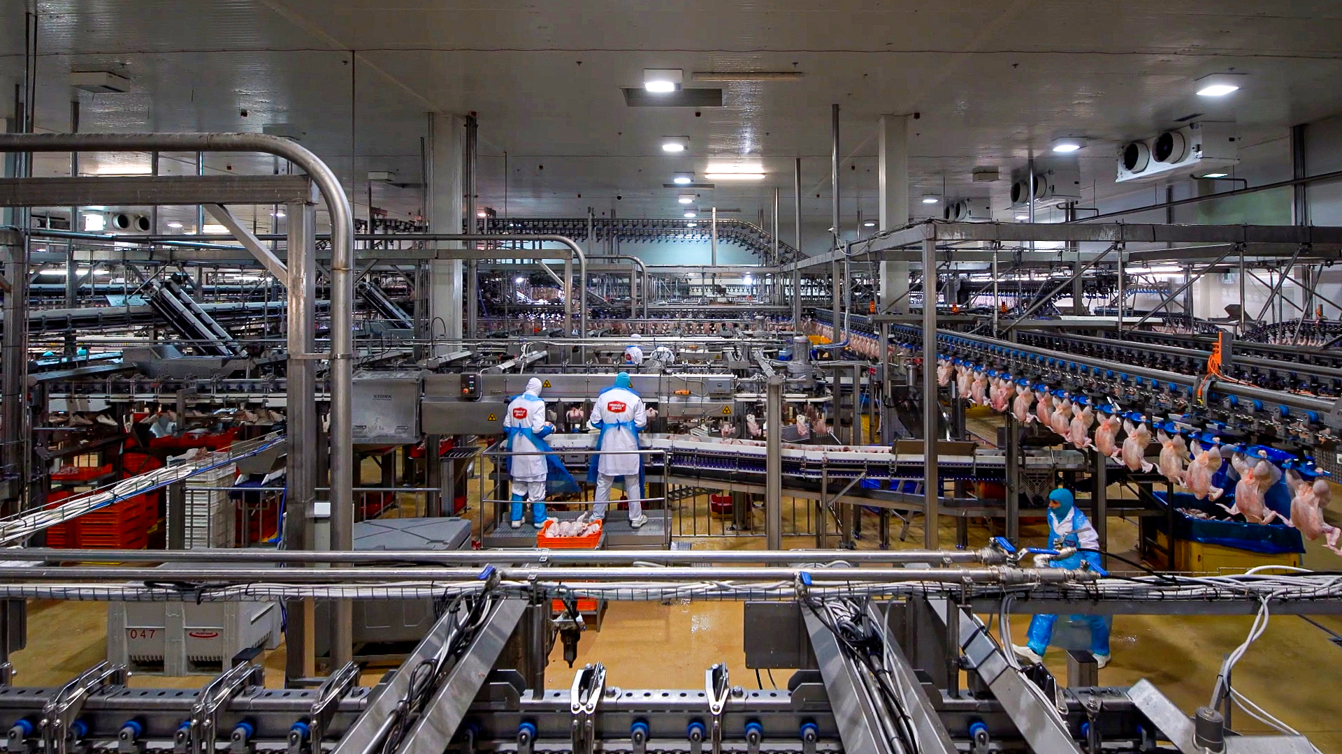 kisvárda master good | 24.hu