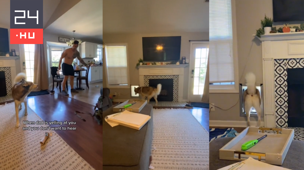 Le akarták teremteni a kutyát, micsoda mocskot csinált, de erről ő ...