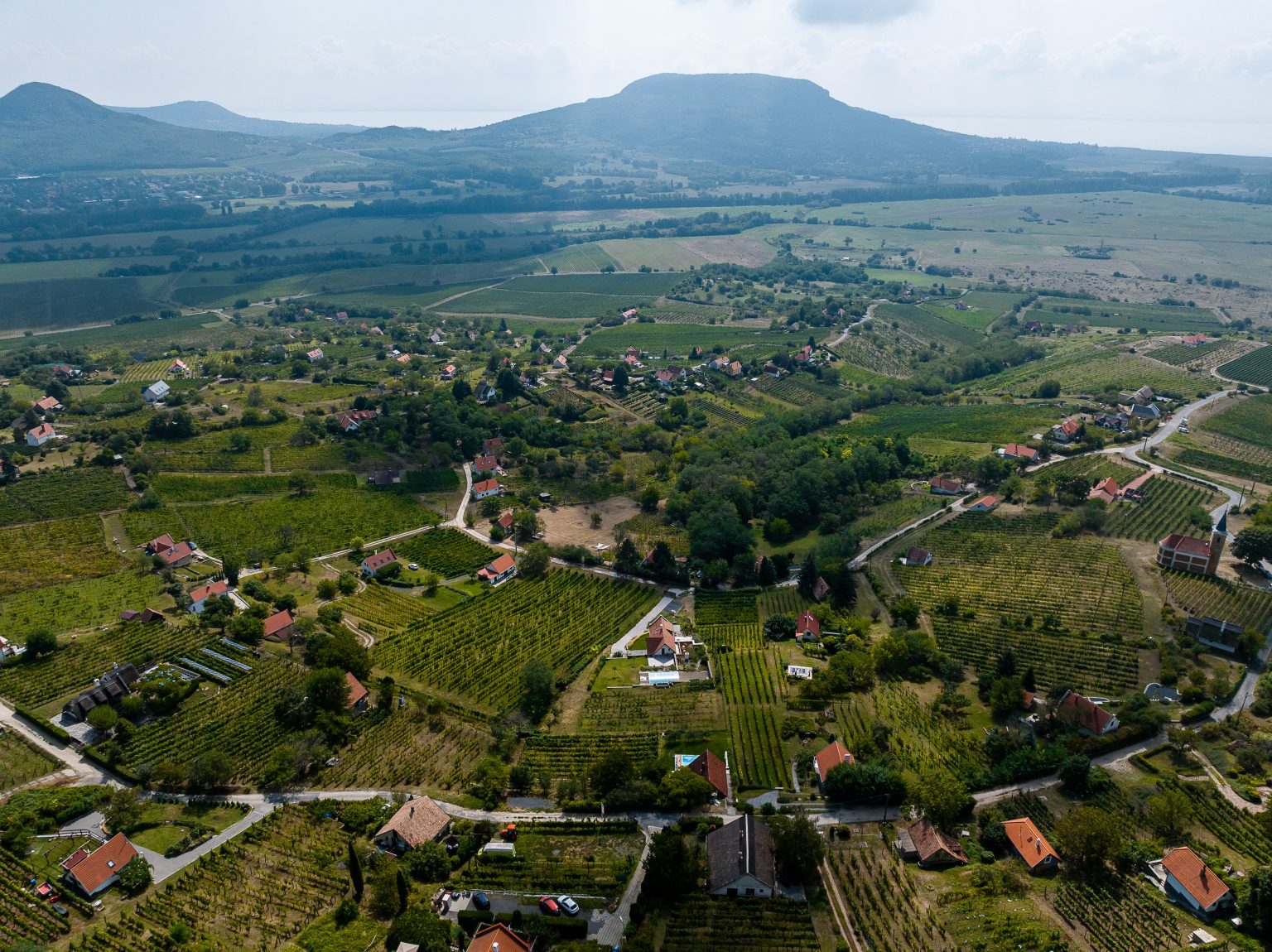 Befektetői gőzhenger tarolja le a balatoni szőlőhegyeket | 24.hu