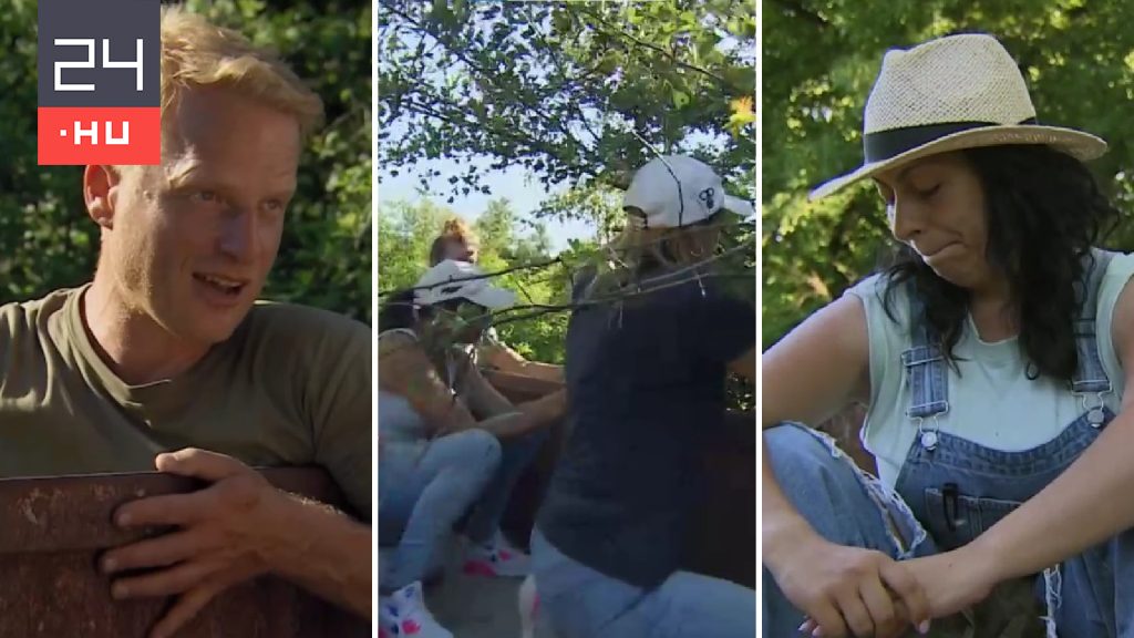 Házasodna a gazda: Péter gazda olyan feladatot adott a jelöltjeinek ...