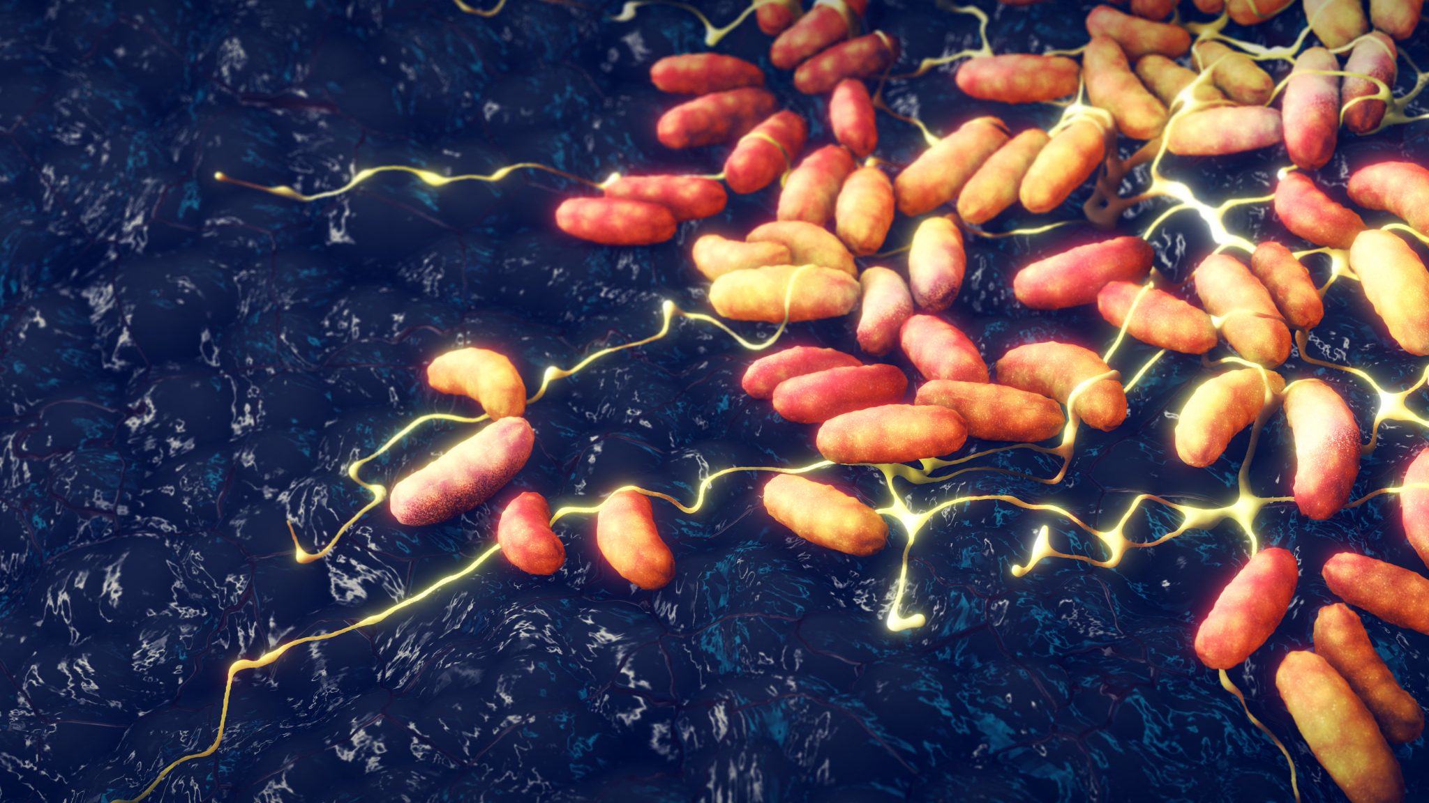 Máig kihat az egészségünkre a pestisjárvány | 24.hu