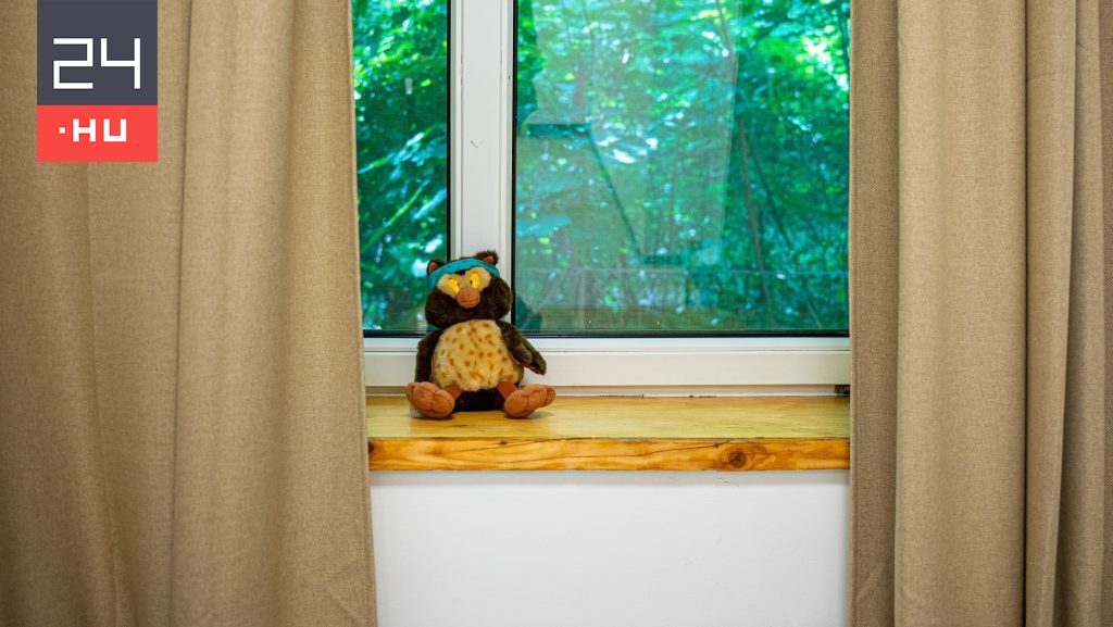 Fontos EU-s kötelezettséget halogat a kormány, pluszszabadság járna sok ...