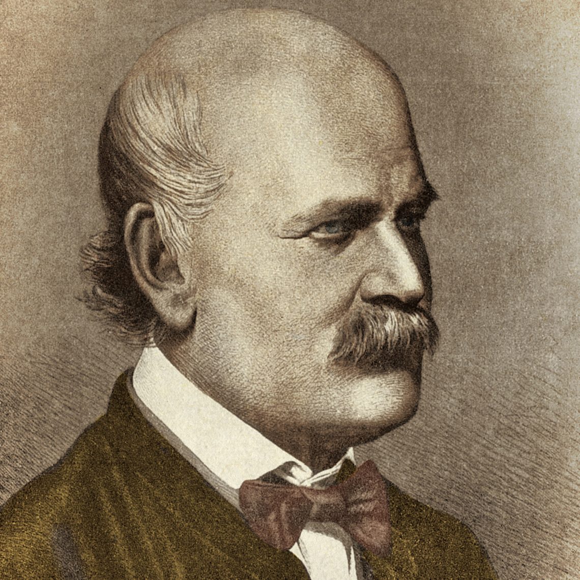 Semmelweis feleségének is szerepe lehetett a tudós halálában | 24.hu