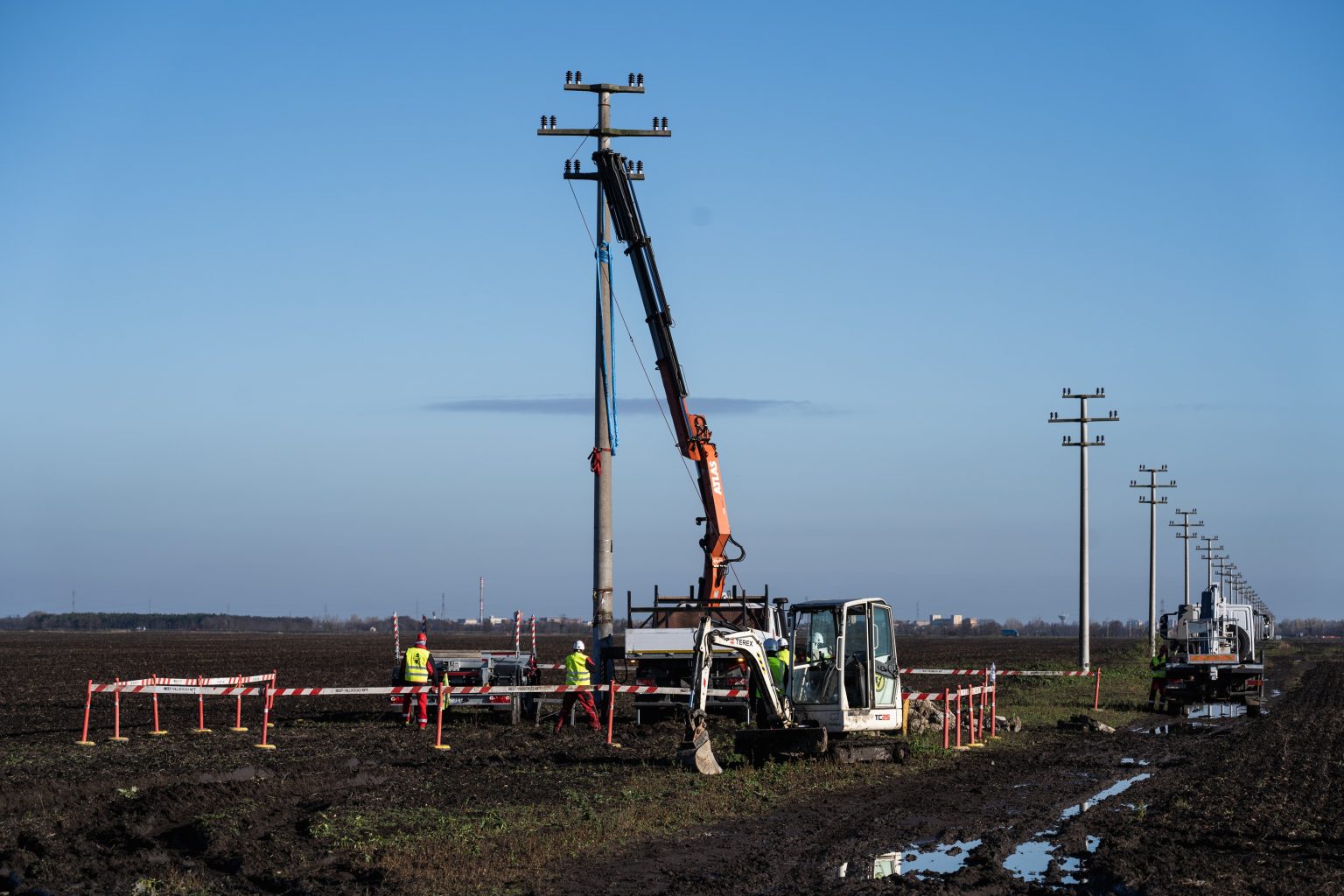 Hatalmas madarak rejtőznek Magyarországon | 24.hu