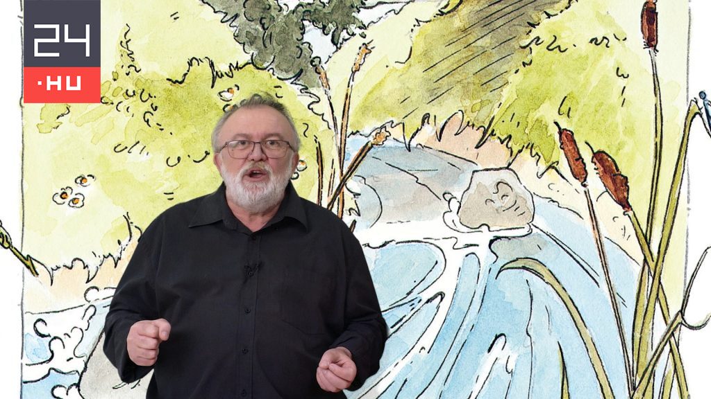 Péntek esti mese: Mókus és medve | 24.hu