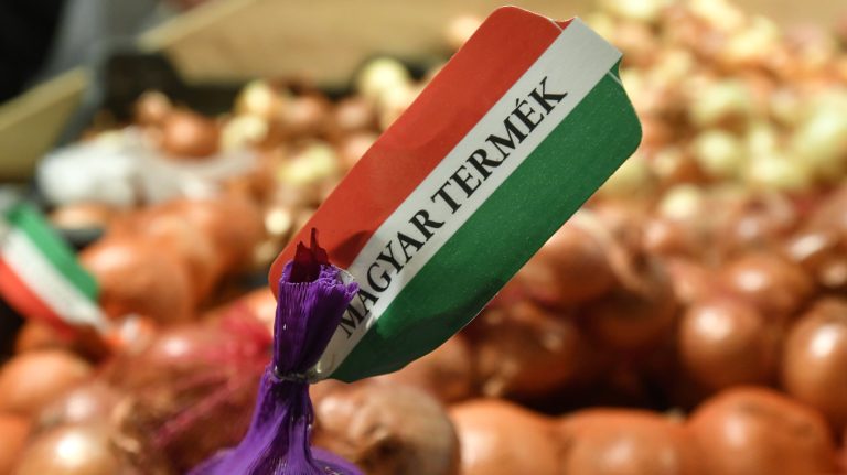 vörös hagyma | 24.hu