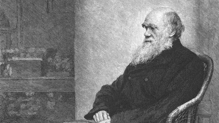 Így halt meg Charles Darwin | 24.hu