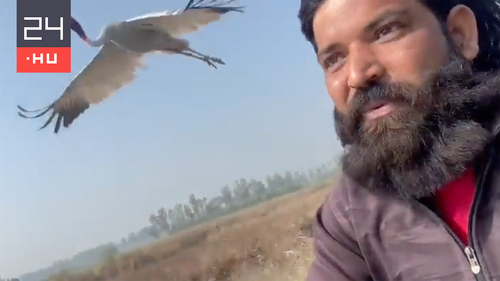 Megmentette egy daru életét, azóta elválaszthatatlan barátok lettek | 24.hu
