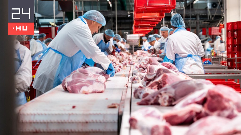 Spanyolországban is bajba került Pini, a kiskunfélegyházi húskirály | 24.hu