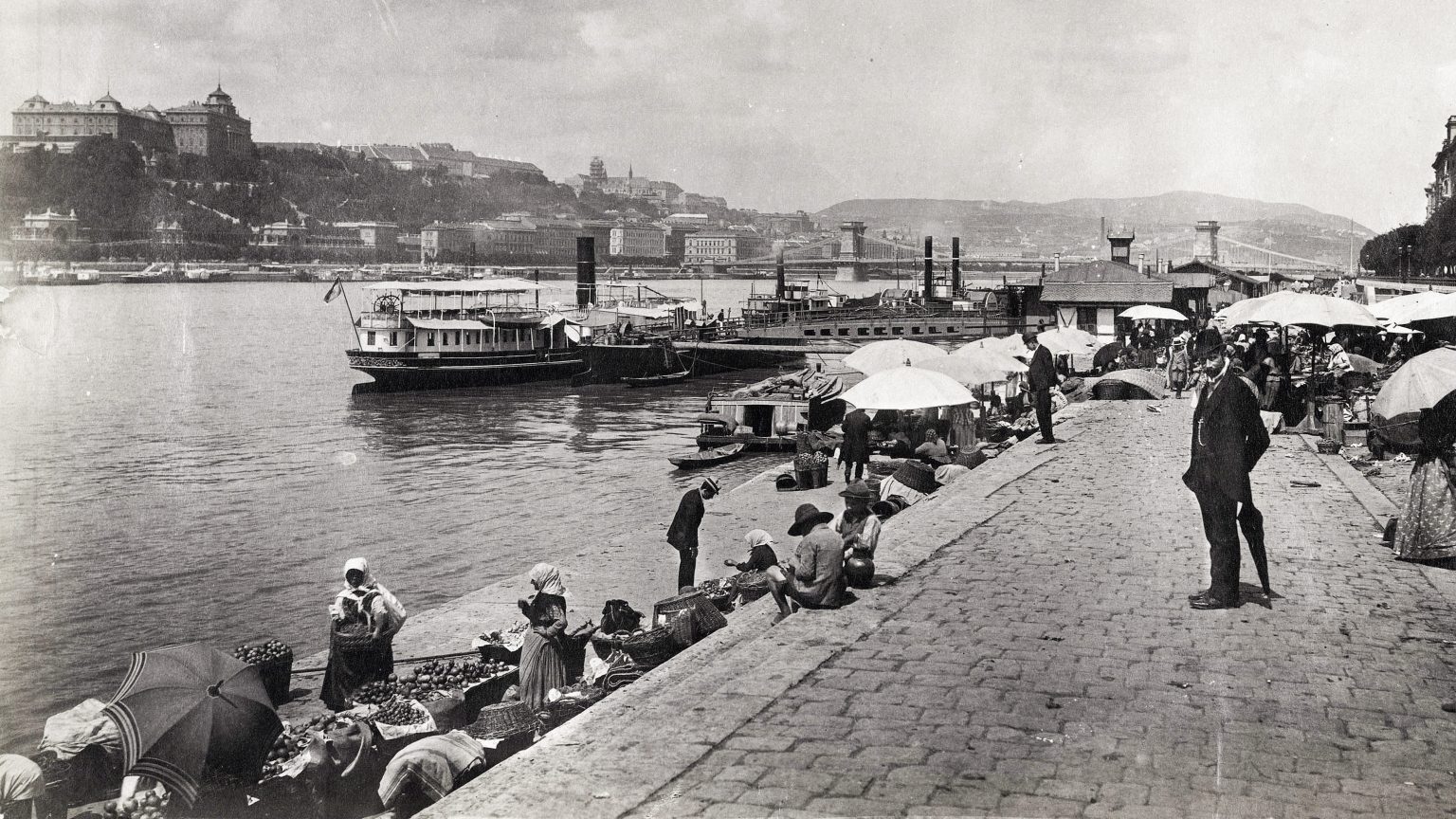 csapó csaba | 24.hu