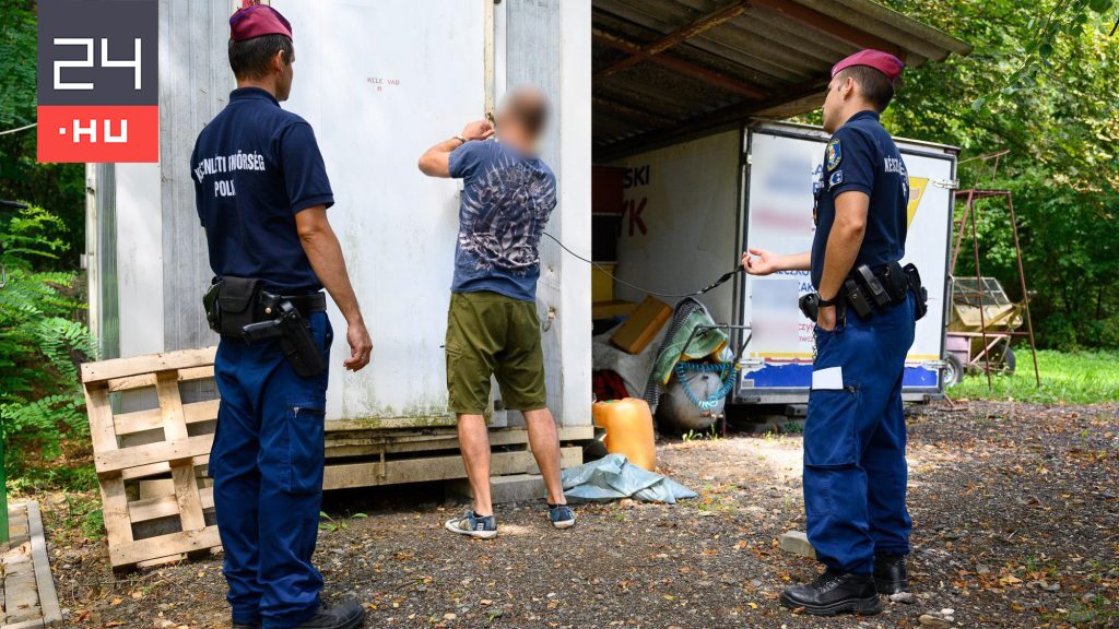 Sokkal rosszabb helyzetbe kerültek a svájci farkas kilövését egy ...