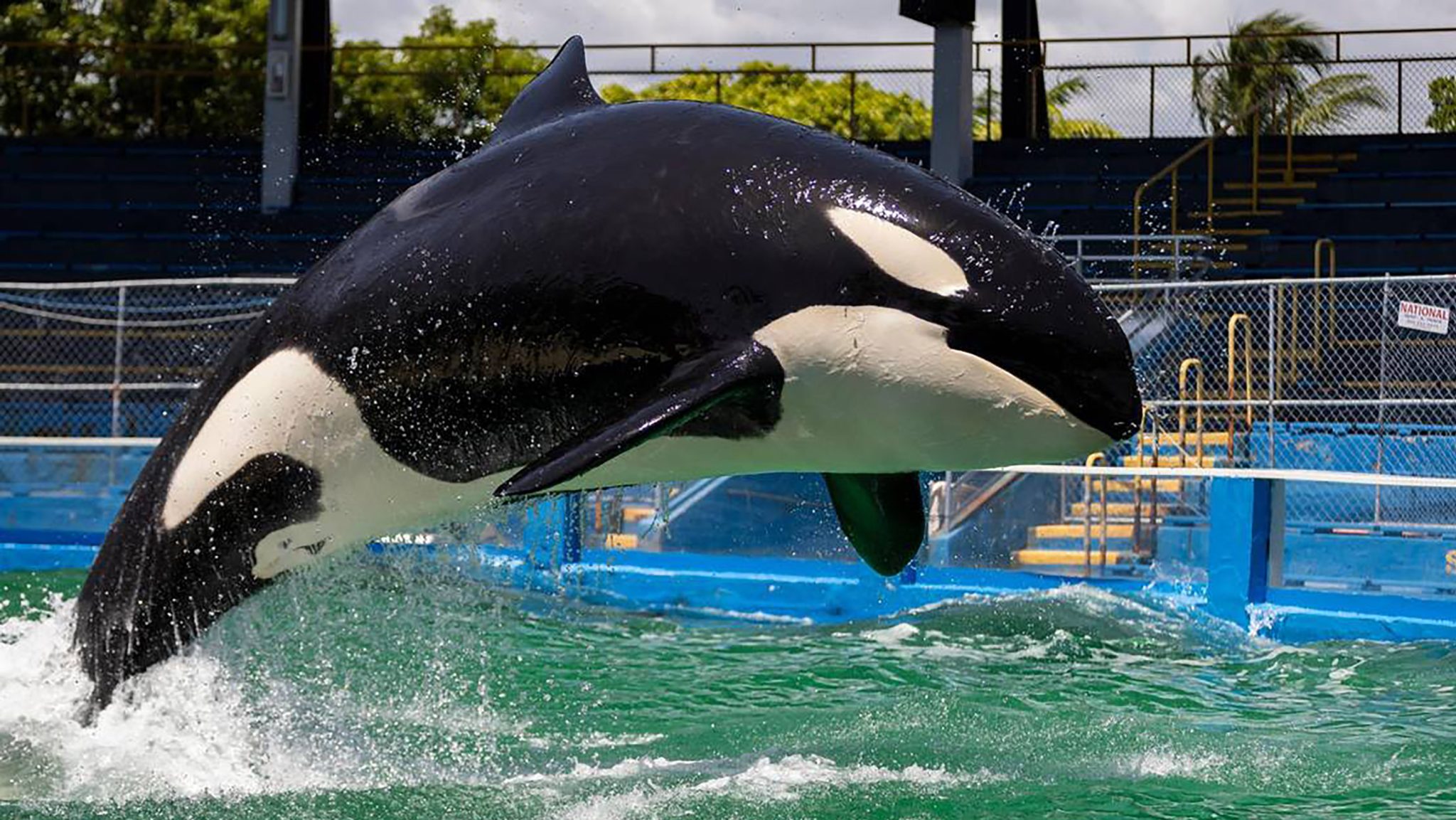 Nem sokkal a szabadulása előtt elpusztult a világ legmagányosabb ...