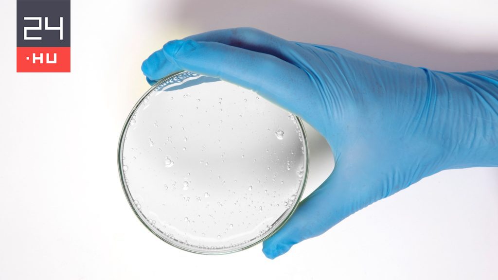 Ez a parazita a műanyagot is képes átfúrni | 24.hu