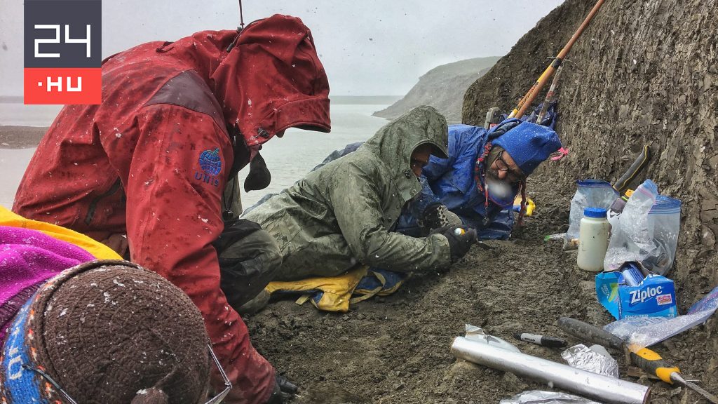 Homokszem nagyságú fogakra bukkantak | 24.hu