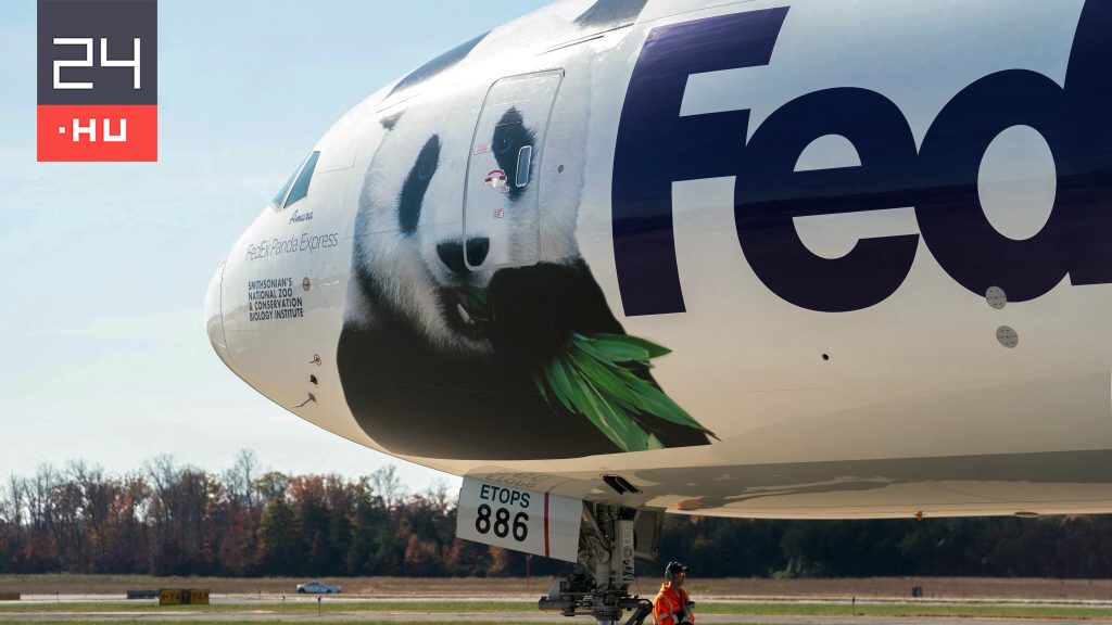 Pandákkal bünteti Kína Amerikát | 24.hu