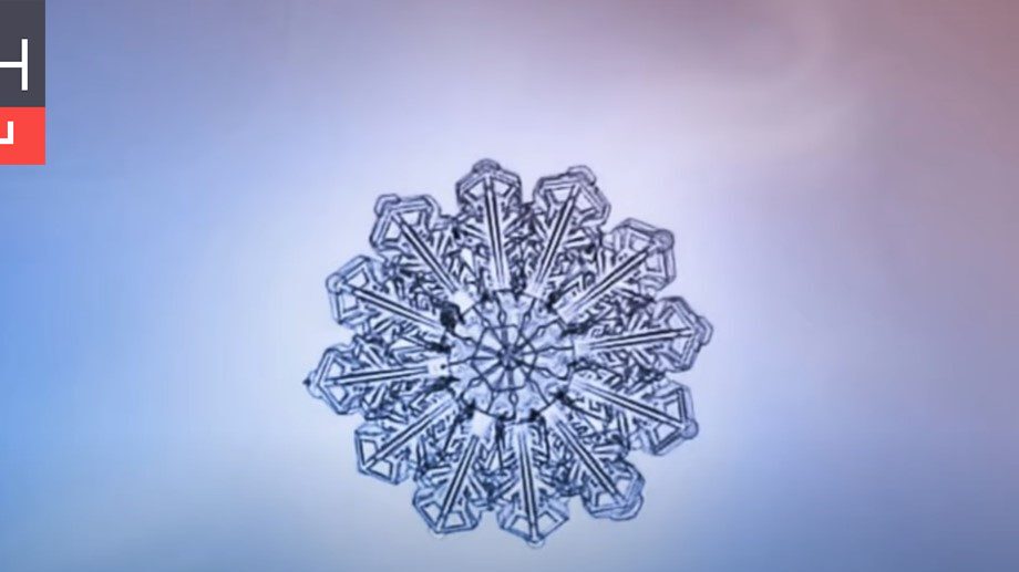 Pizza nagyságú a világ legnagyobb hópelyhe | 24.hu