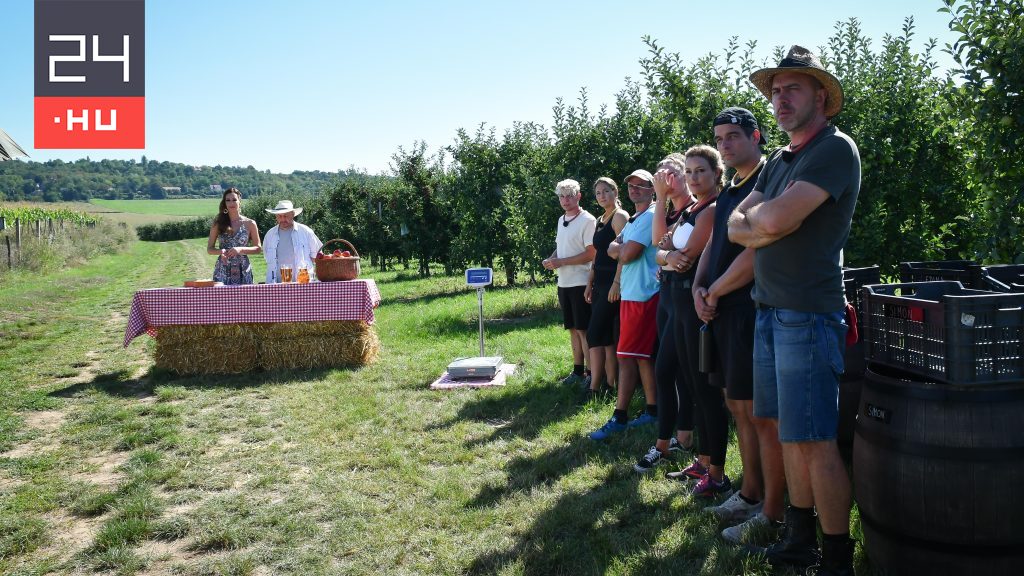 Farm VIP: három játékos számára véget ért a verseny, kialakult a top 5 ...