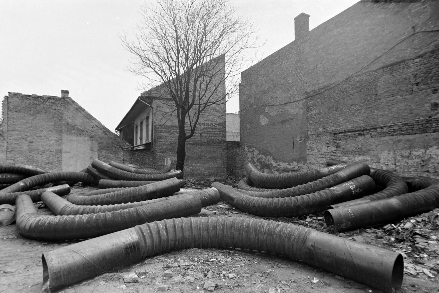 Az utcai fotózás művészete – Így vadászta a döntő pillanatot Kereki ...