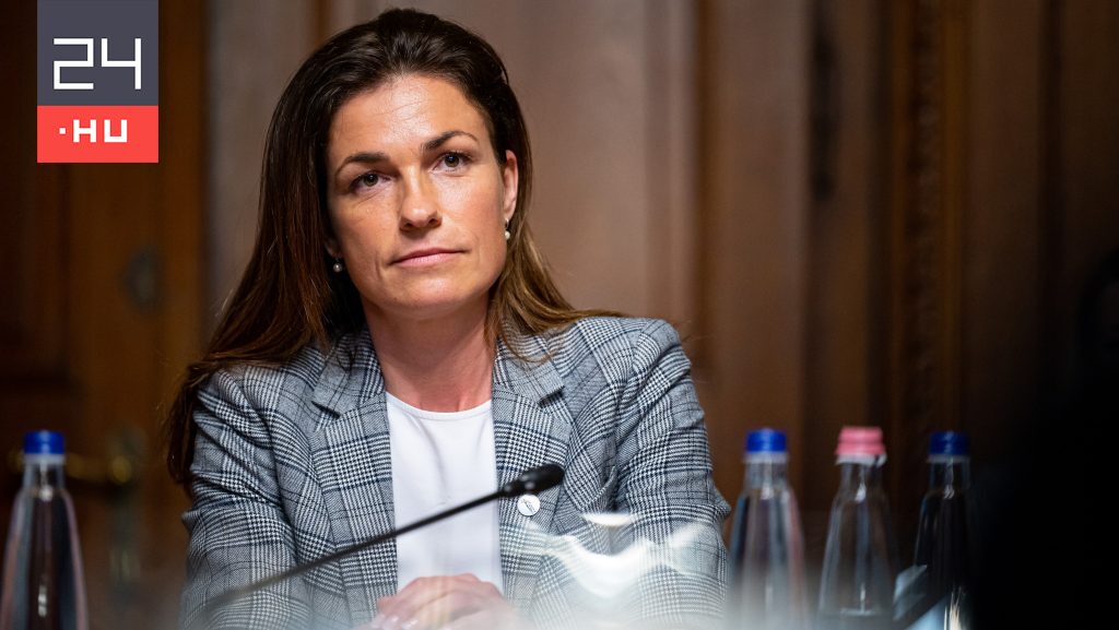 Magyar Péter: Varga Judit a Schadl-ügy kirobbanása előtt kezdeményezte ...