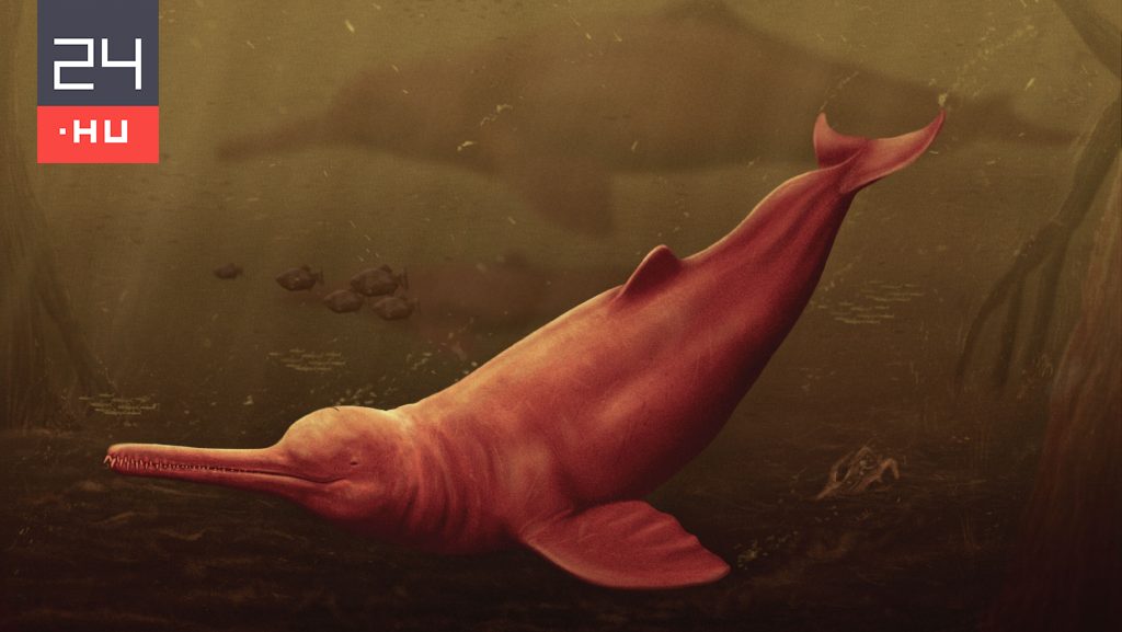 Óriási folyami szörny koponyájára bukkantak | 24.hu