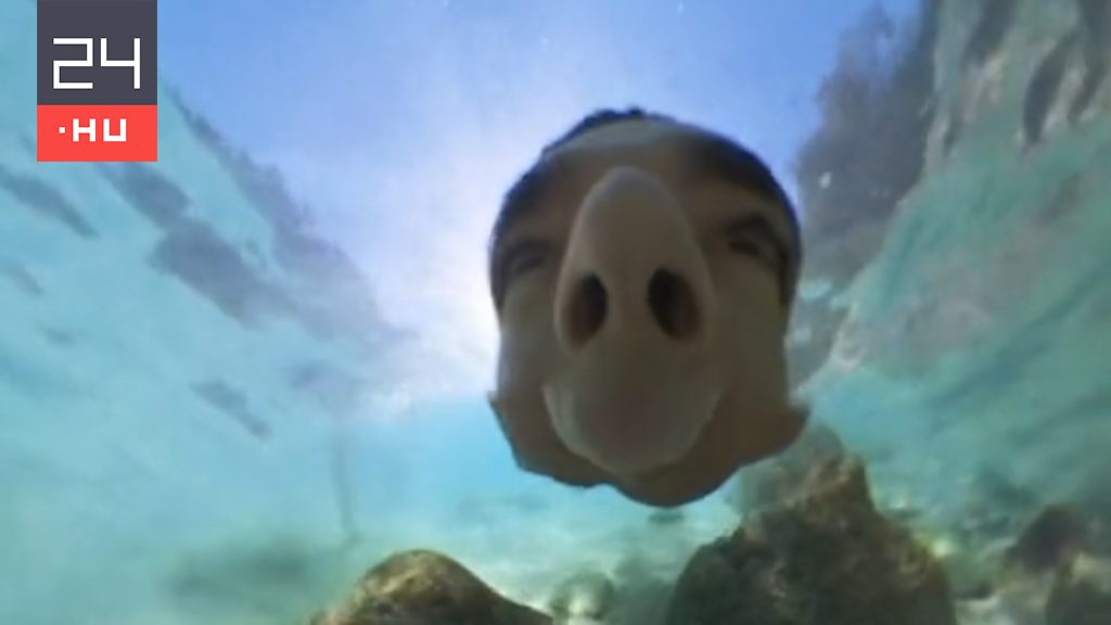 Vett egy menő kamerát a nyaralására, a felvételek azonban nagyon ...