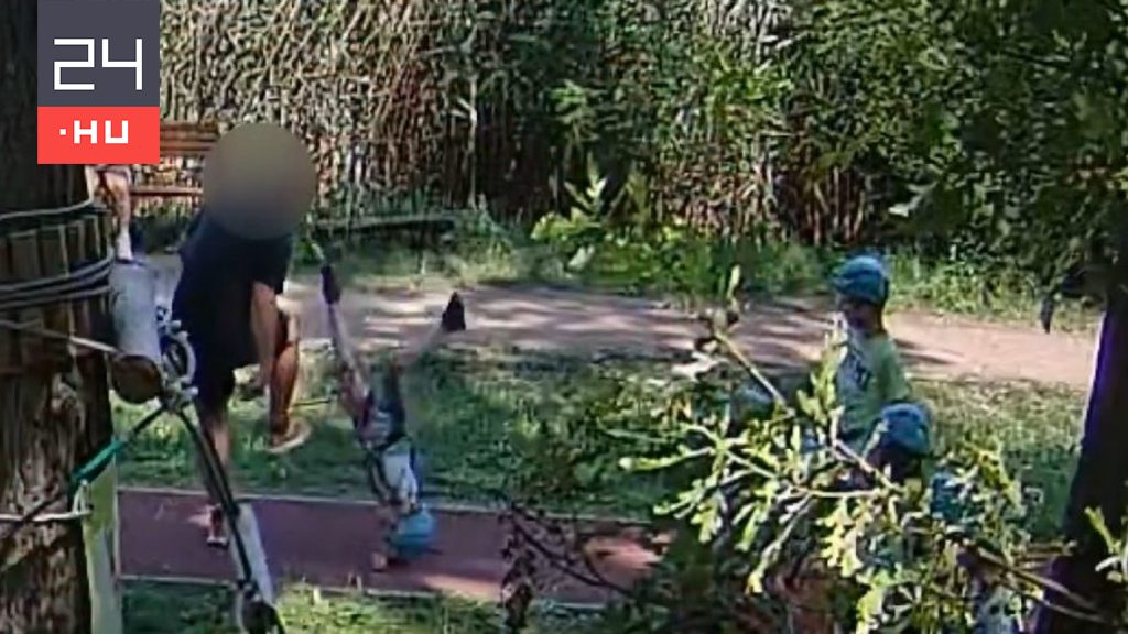 Visszavonták Jászberényben a gyermeket felrúgó karateedző kitüntetését ...