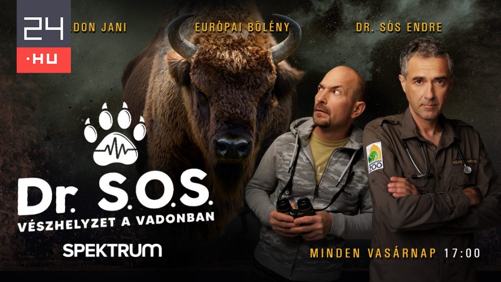 Dr. Sós Endre és Vadon Jani akcióban | 24.hu